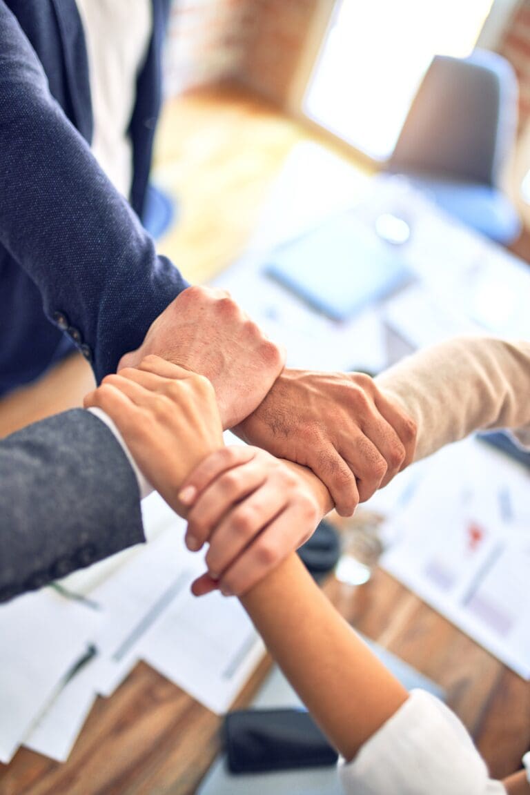 Thingvold Executive Coaching and Consulting